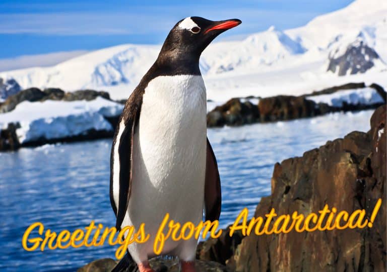 The job of a lifetime! - Discovering Antarctica